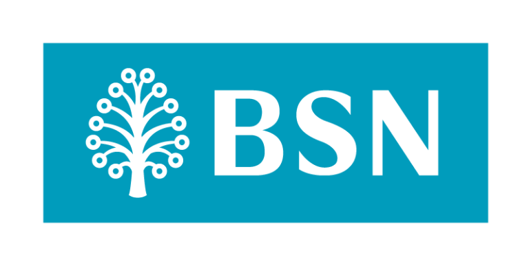 BSN Logo – Download PNG,AI,EPS,SVG,PDF - Logoquake